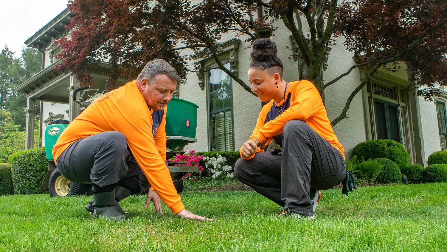 How Power Seeding Can Revitalize Your Lawn