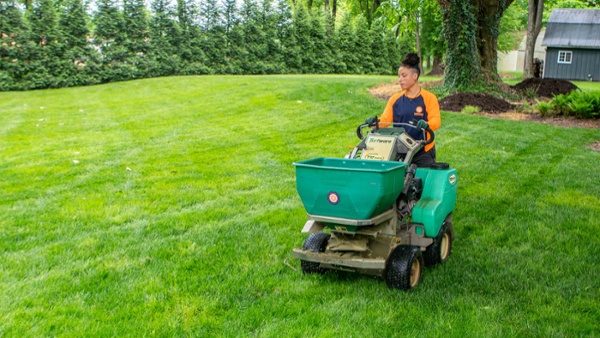 Lawn Fertilization in Louisville | Lawn Care | Limbwalker