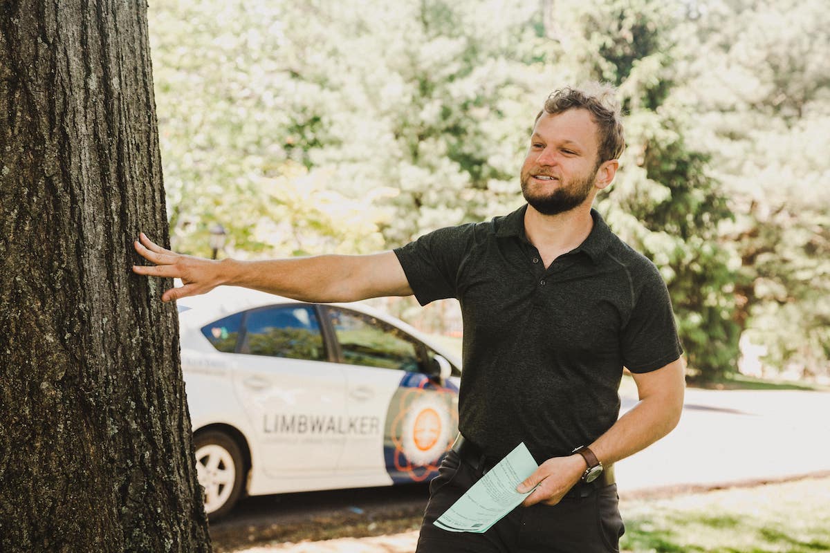 FAQs | Limbwalker Lawn Care and Tree Services | Louisville